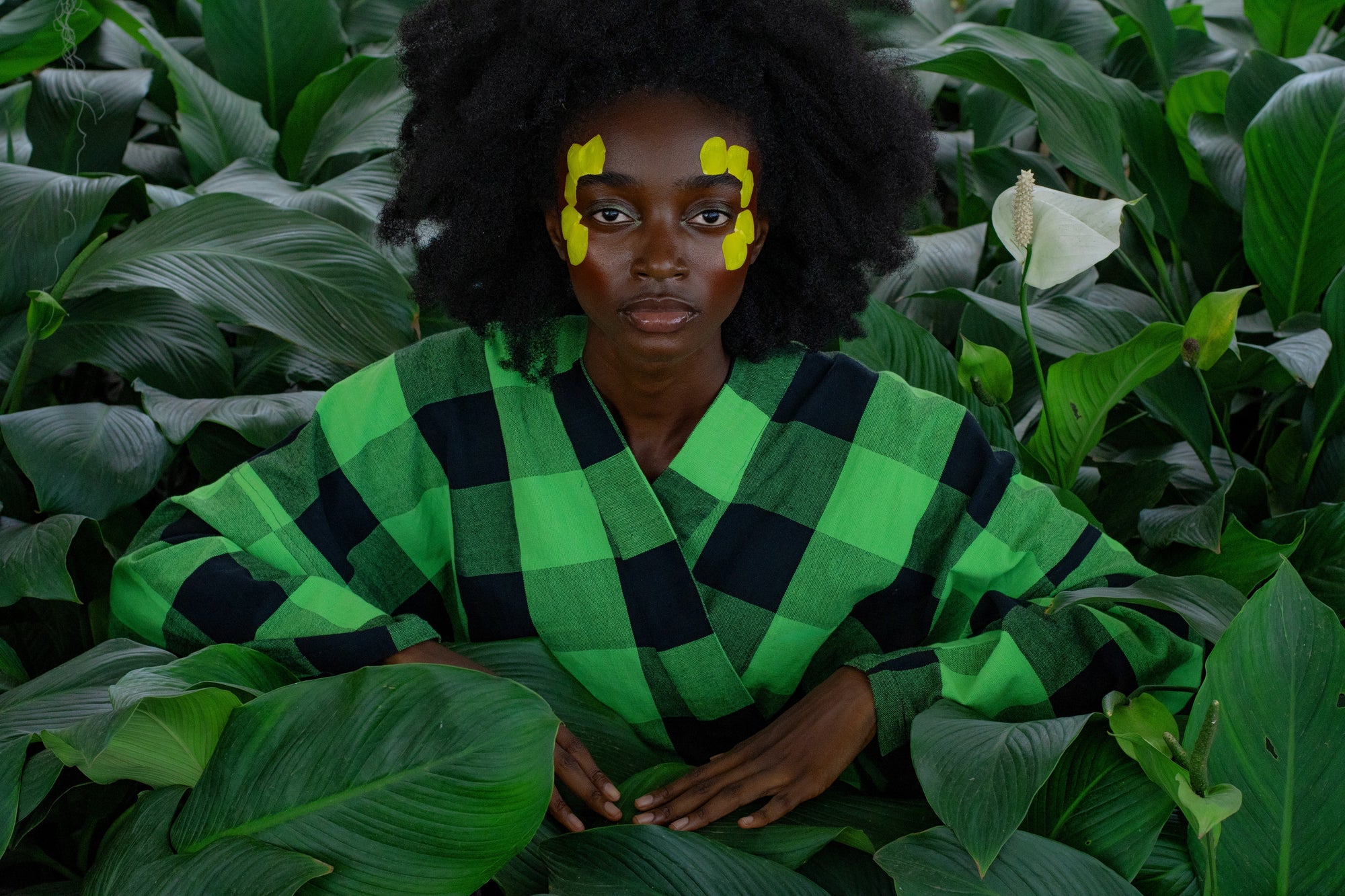 Poplinproject – Poplin Project